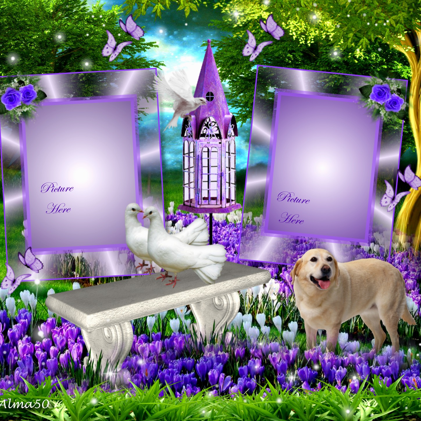 alma50's Picture Frames - 2013 July - My Garden Alma50 picture Frames ...