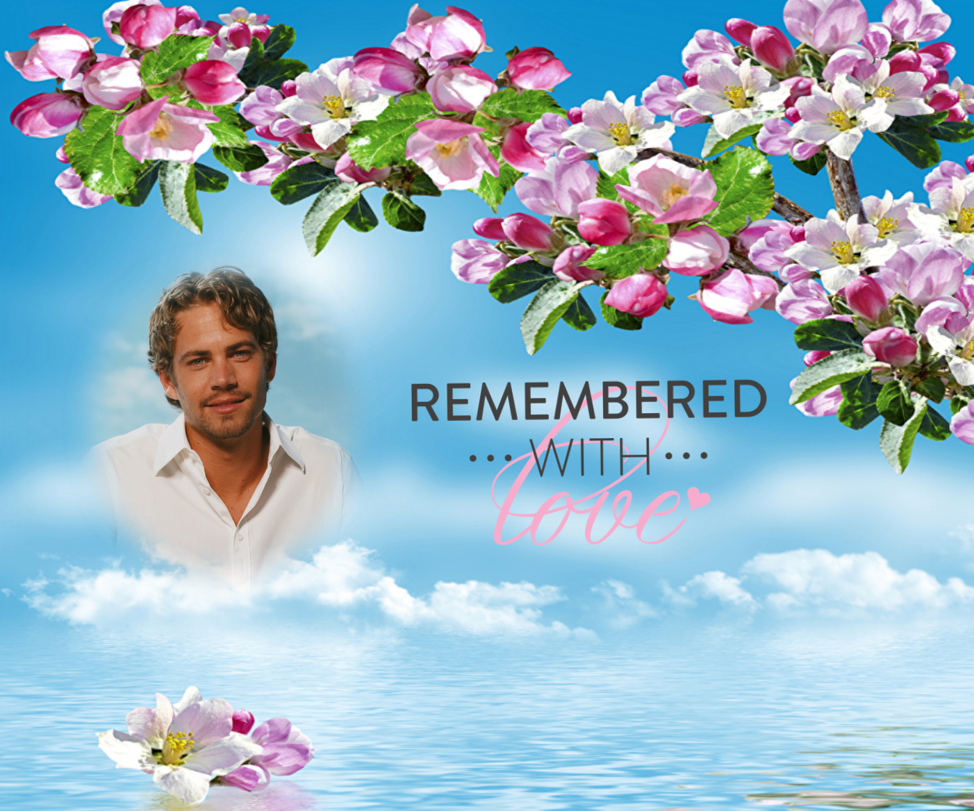 pussycatlady22's In Memory Of... Frames - 2018 February - In Loving ...