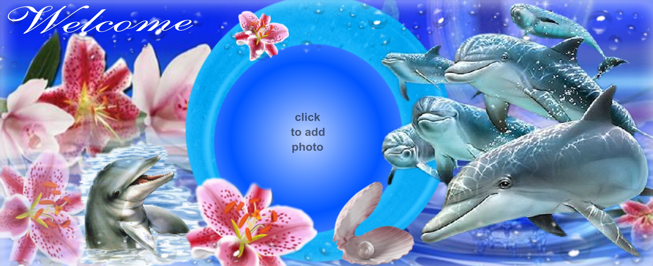 Sinnlich's Profile Cover Frames - 2012 August - Dolphin Welcome ...