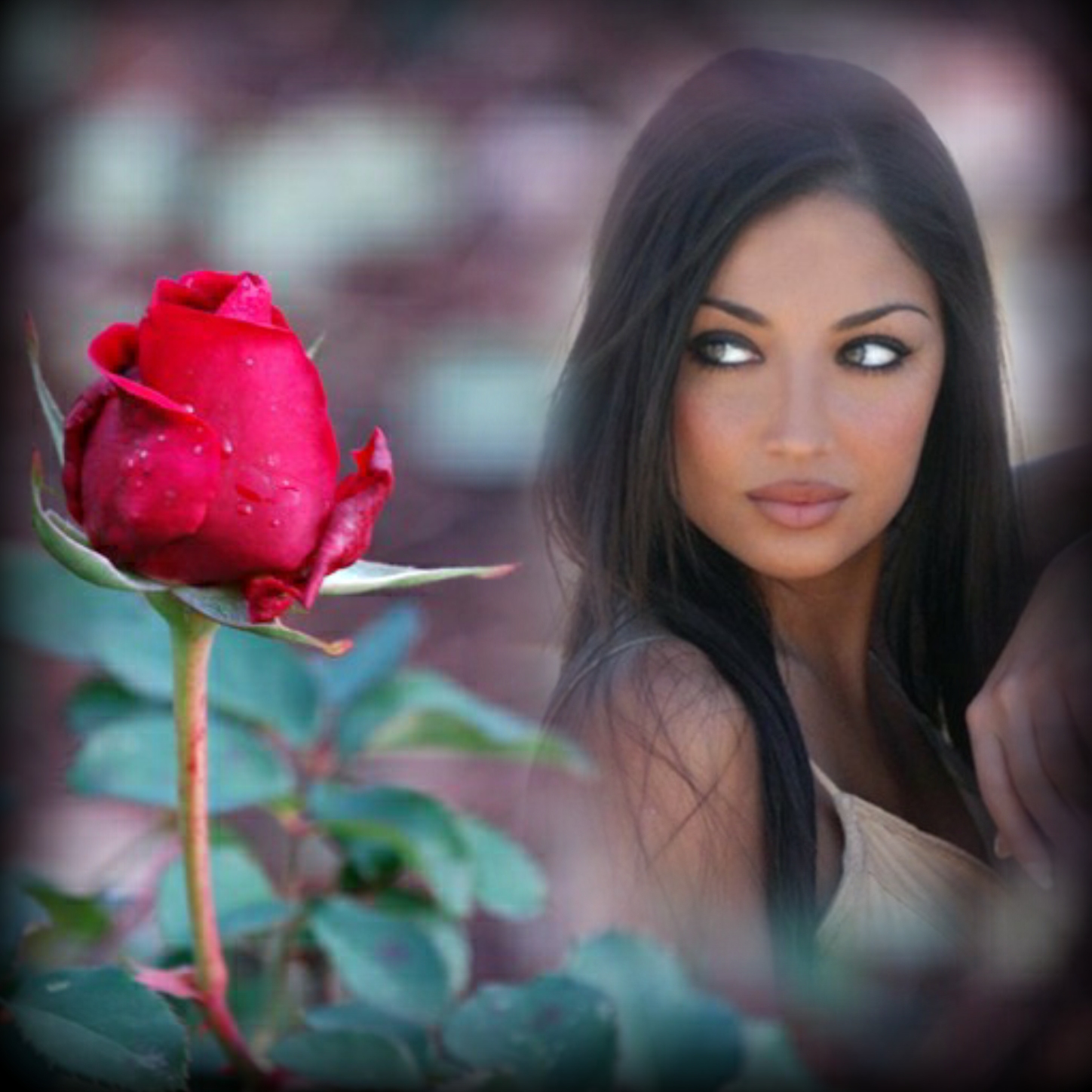 Elizabeth's THINKING OF/MISSING YOU 🌷2/4 - Red Rose Nature Elizabeth ...