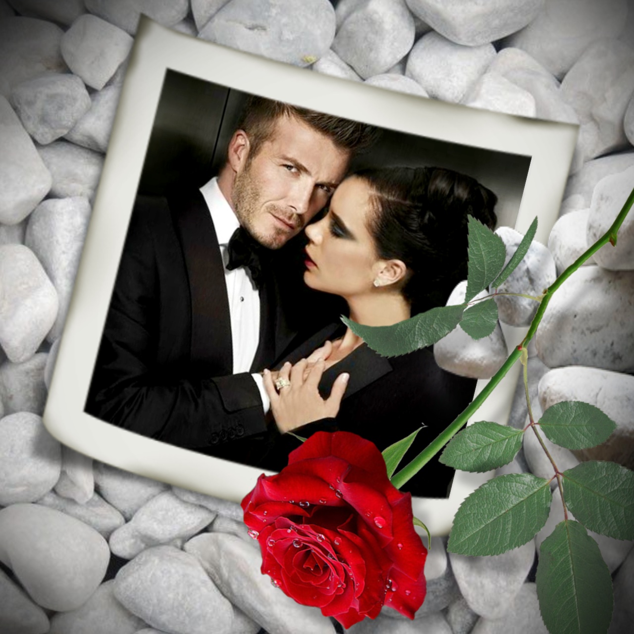 Jezebel64's Photo(s) Albums - Photos Red Rose Love Romance Jezebel64 ...