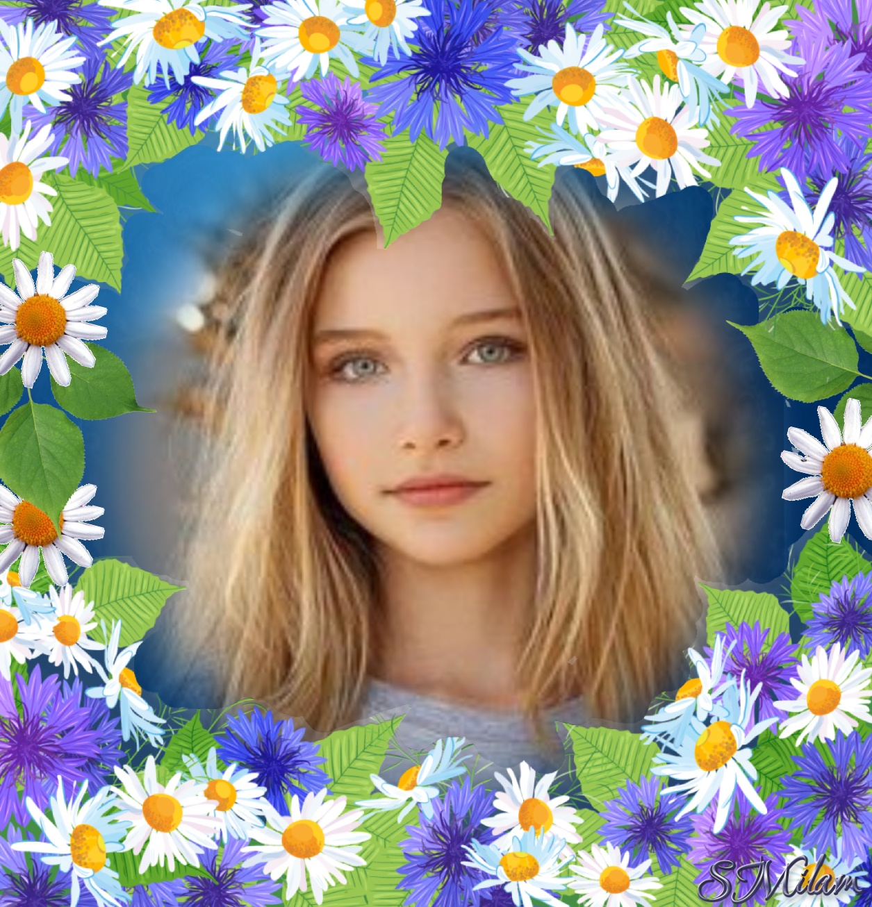 smilam's Picture Frames - Picture Frames 2020 - Flower Frame Daisies ...