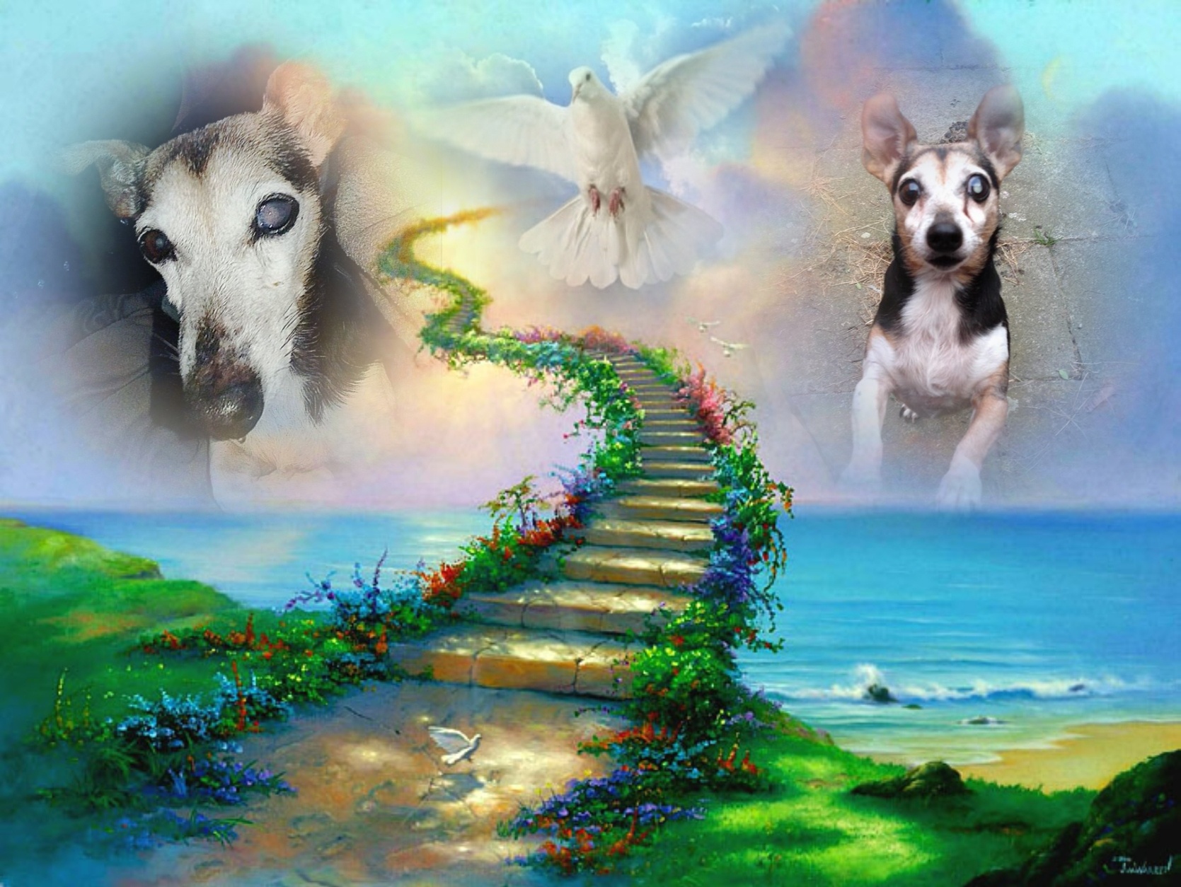 mvh's First Stream - mvh's First Stream