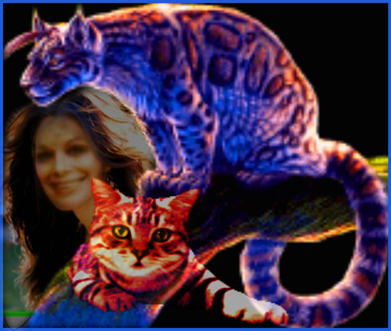 Trisha36340's Wildlife Frames - 2009 September - Ready to Pounce ...