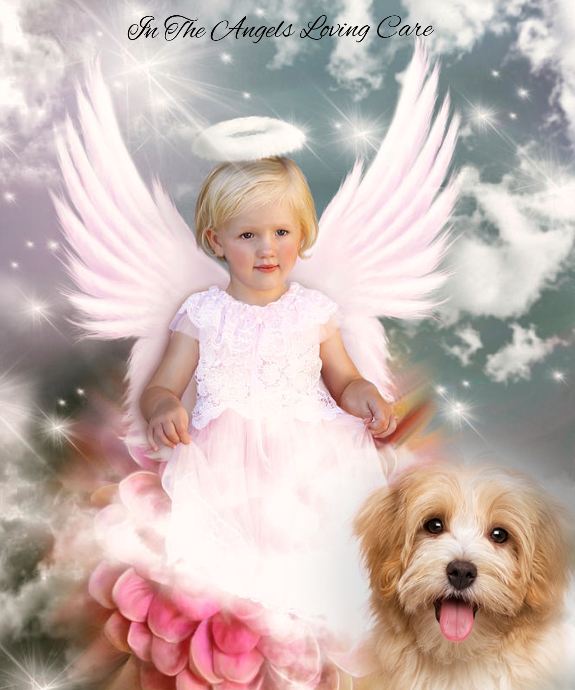 Elaine S Angels 2022 Angels 2022 Elaine S Angels 2022 Angels 2022