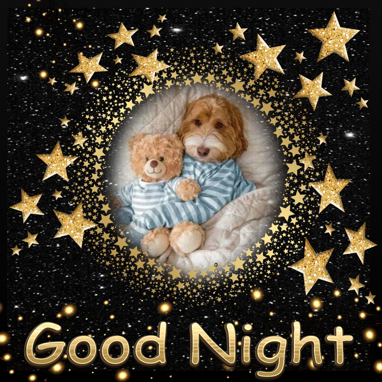 Mmhartley2's Everything Stream - Good Night Stars - Good Night Stars