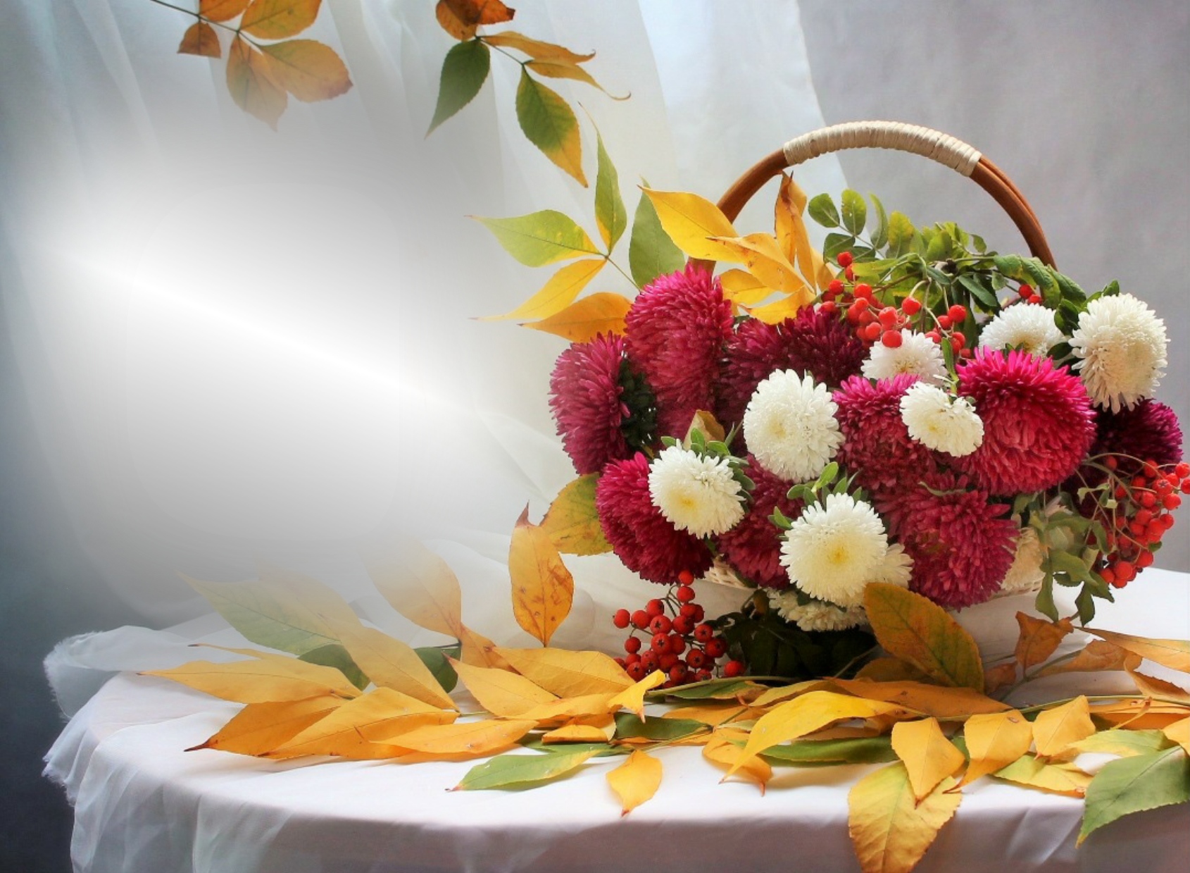 sterva1990's Fall Frames - 2017 November - 2017 November - Frame ...