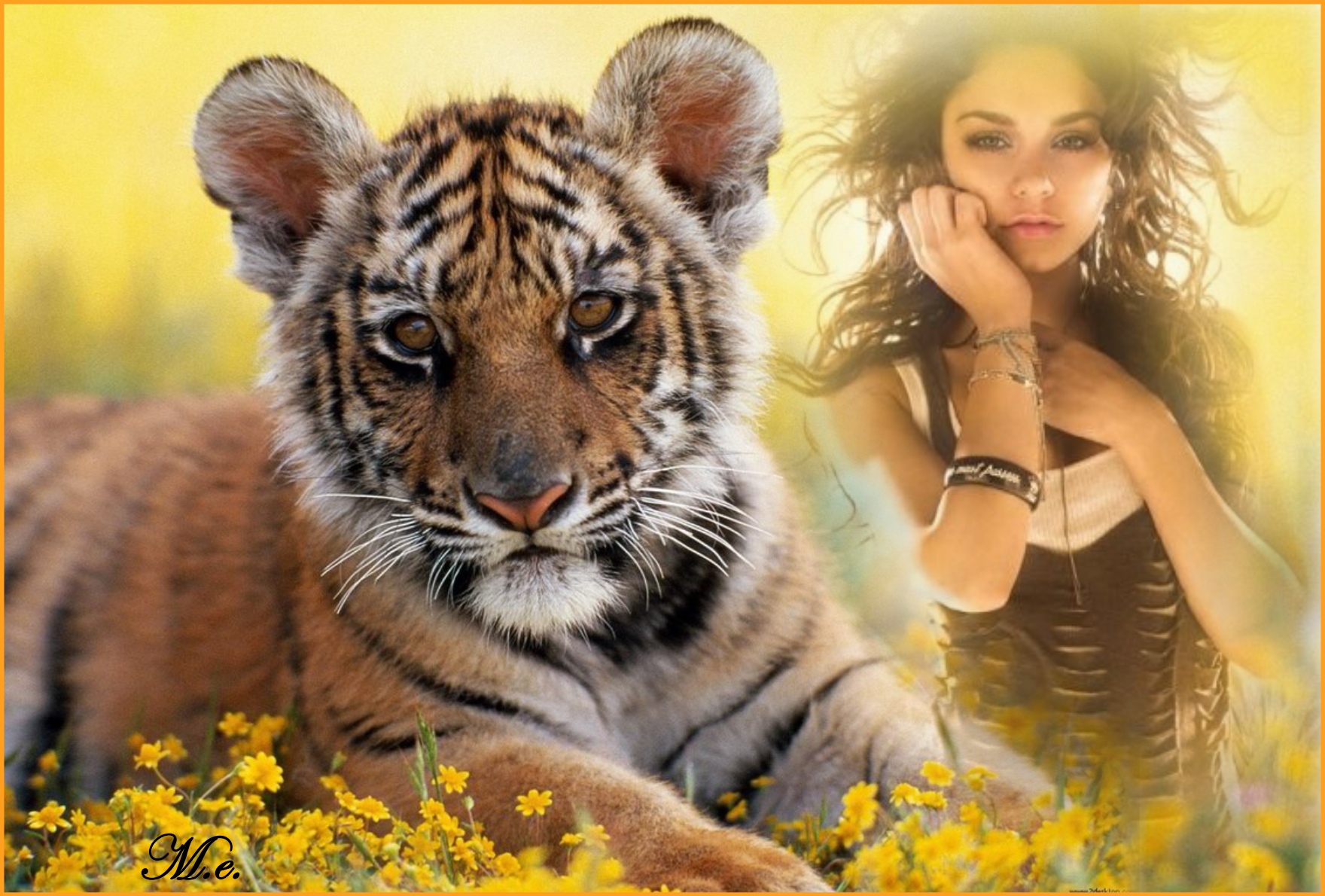 manutencop's Picture Frames - 2011 June - 2011 June - Animal portrait ...