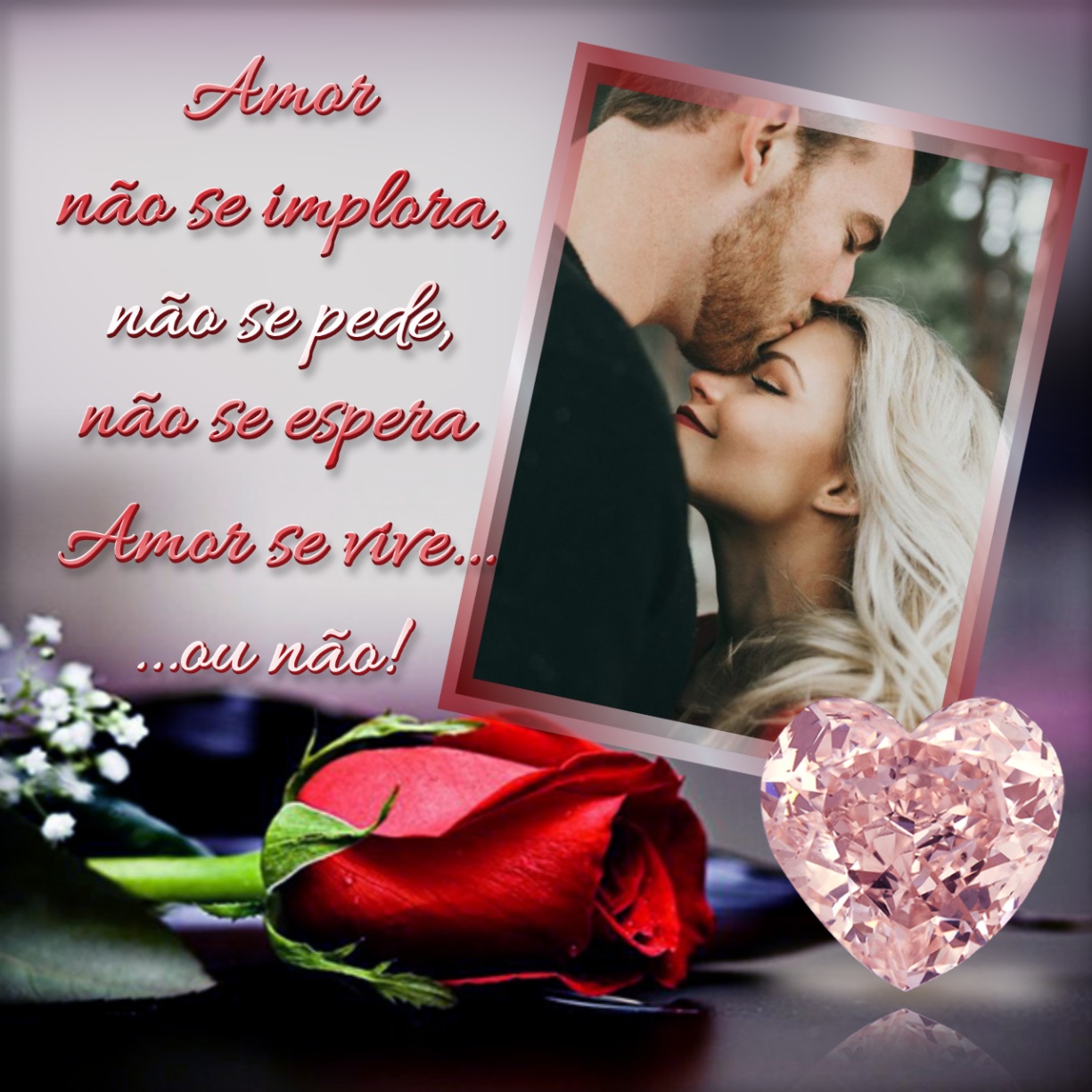 Adelaide's LOVE / AMOR - VALENTINE'S DAY / ROMANCE - Adelaide ...