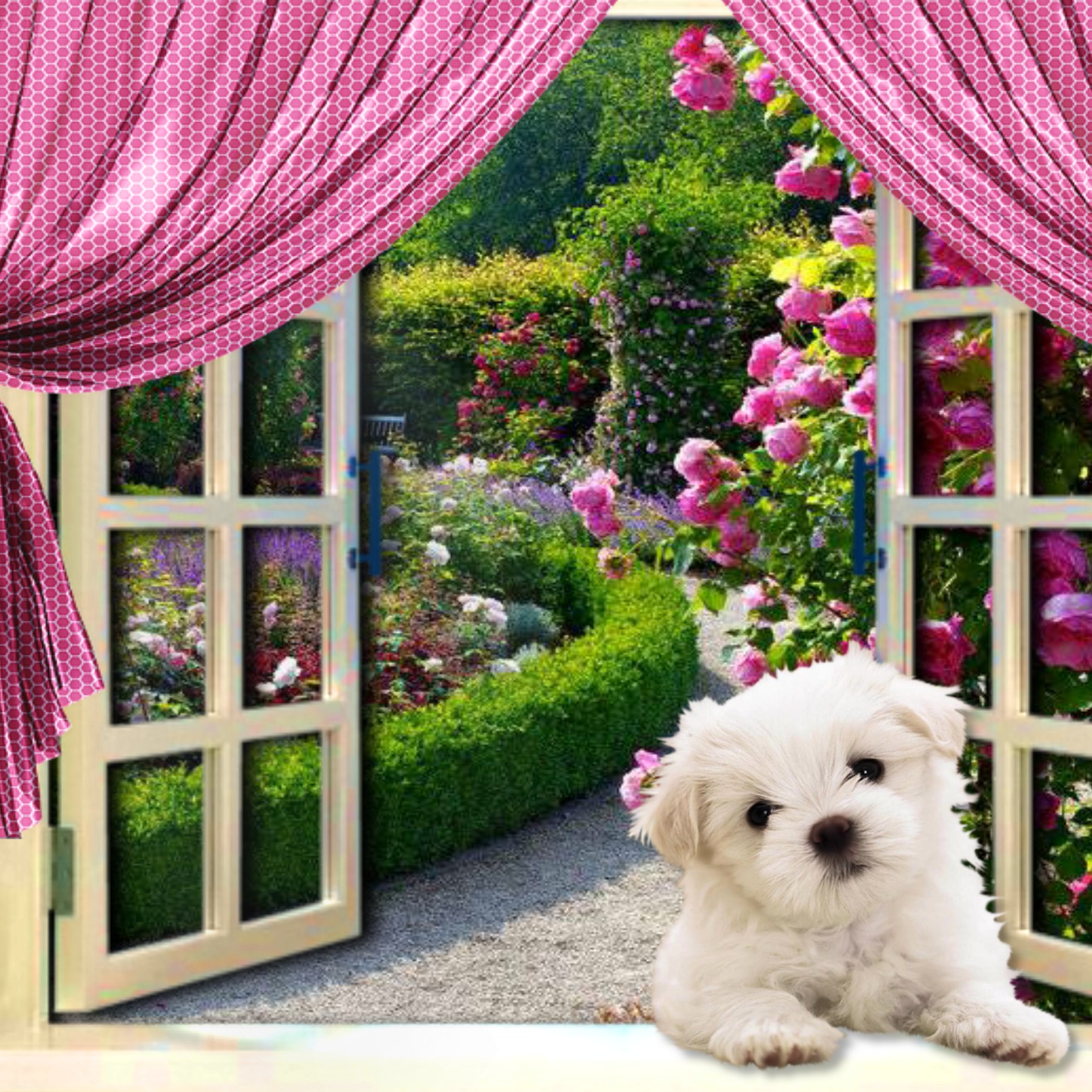 lissy's GoodMorning 🌞 GoodNight - Pictures - spring Lissy005 good ...