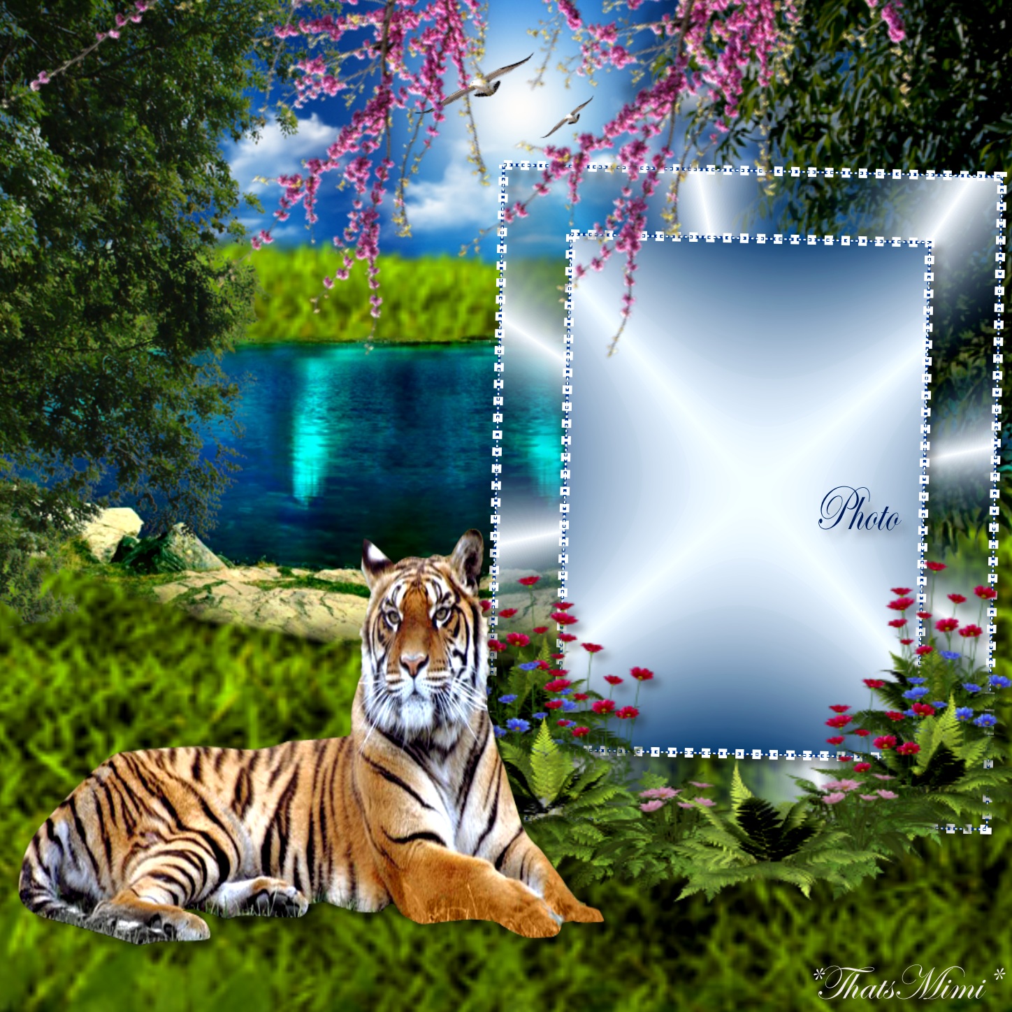 ThatsMimi's Sunsets, Scenery and Nature Frames - 2013 February - 2013 ...