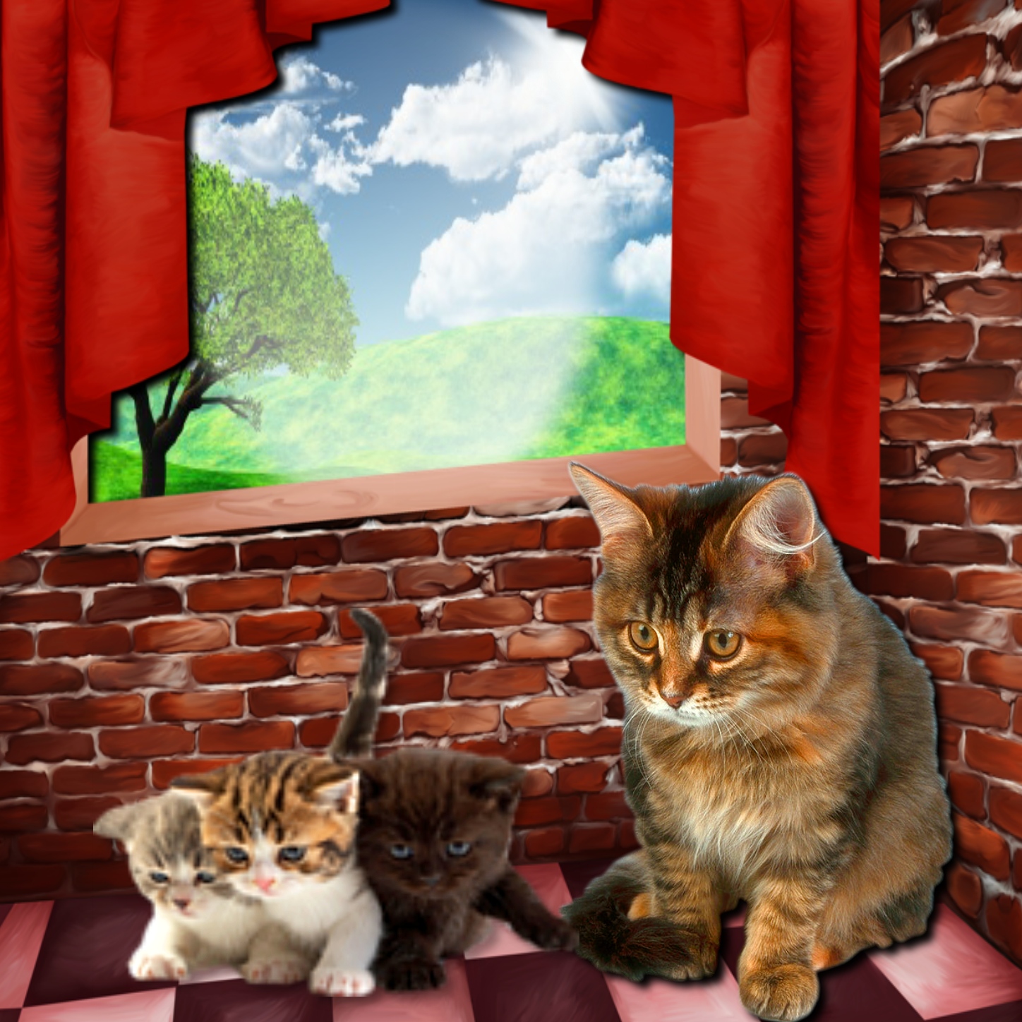 lissy's wildlife 🦁 animals🐬 - 2017 - lissy-cats Lissy005 - lissy-cats ...