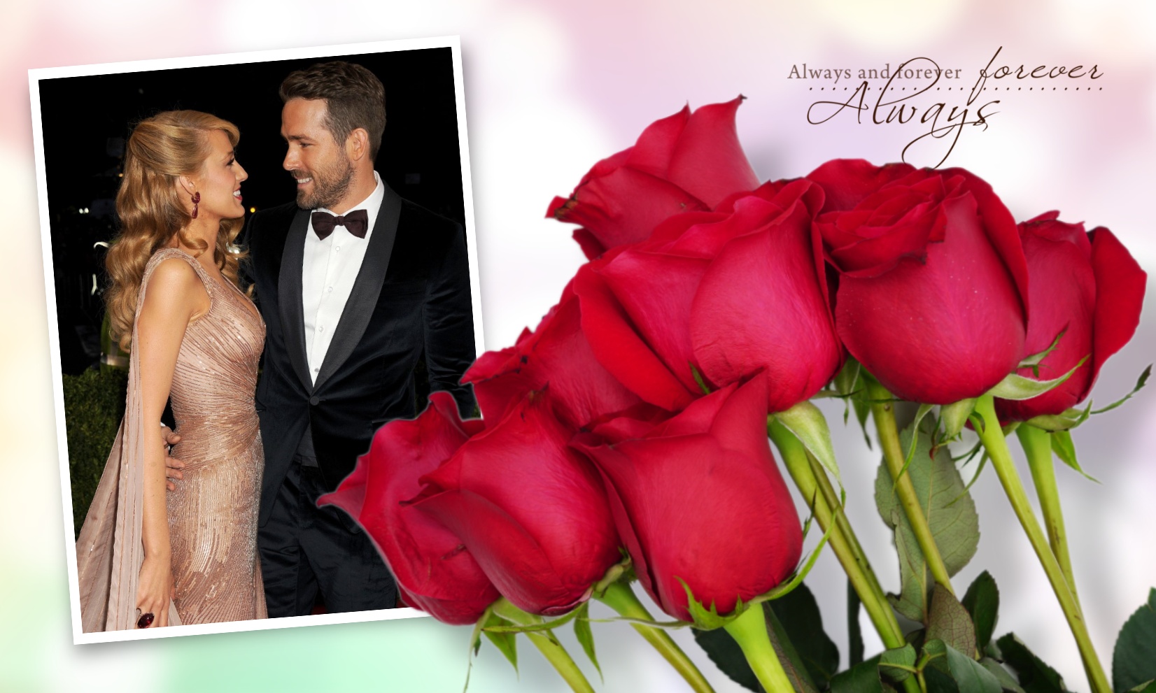 Elizabeth's LOVE/ROMANCE 😍 2/2 - Love Red Rose Romance Elizabeth - Love ...