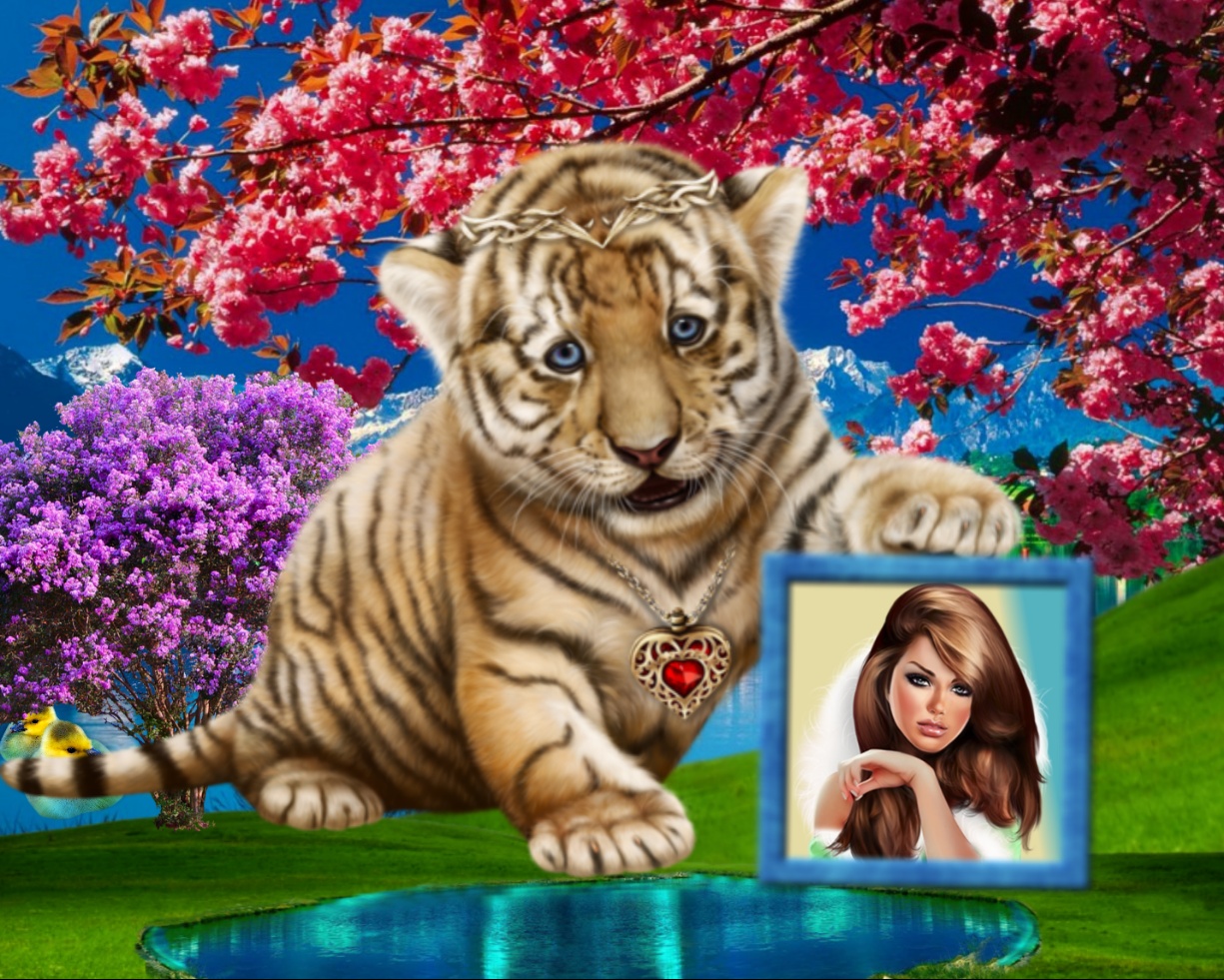 It'sMichelle's Wildlife Frames - Tiger Cub Wildlife Horror02 - Tiger ...