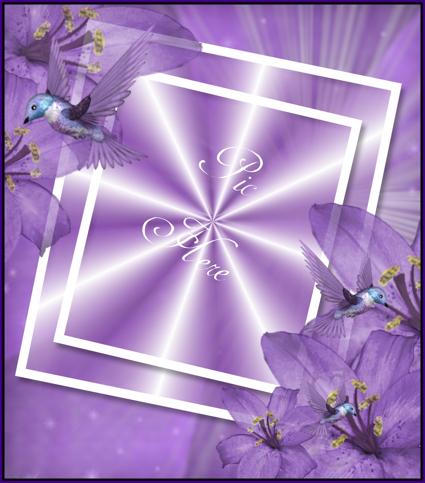 cindyteem's Picture Frames - 2009 June - Hummingbirds Purple ...