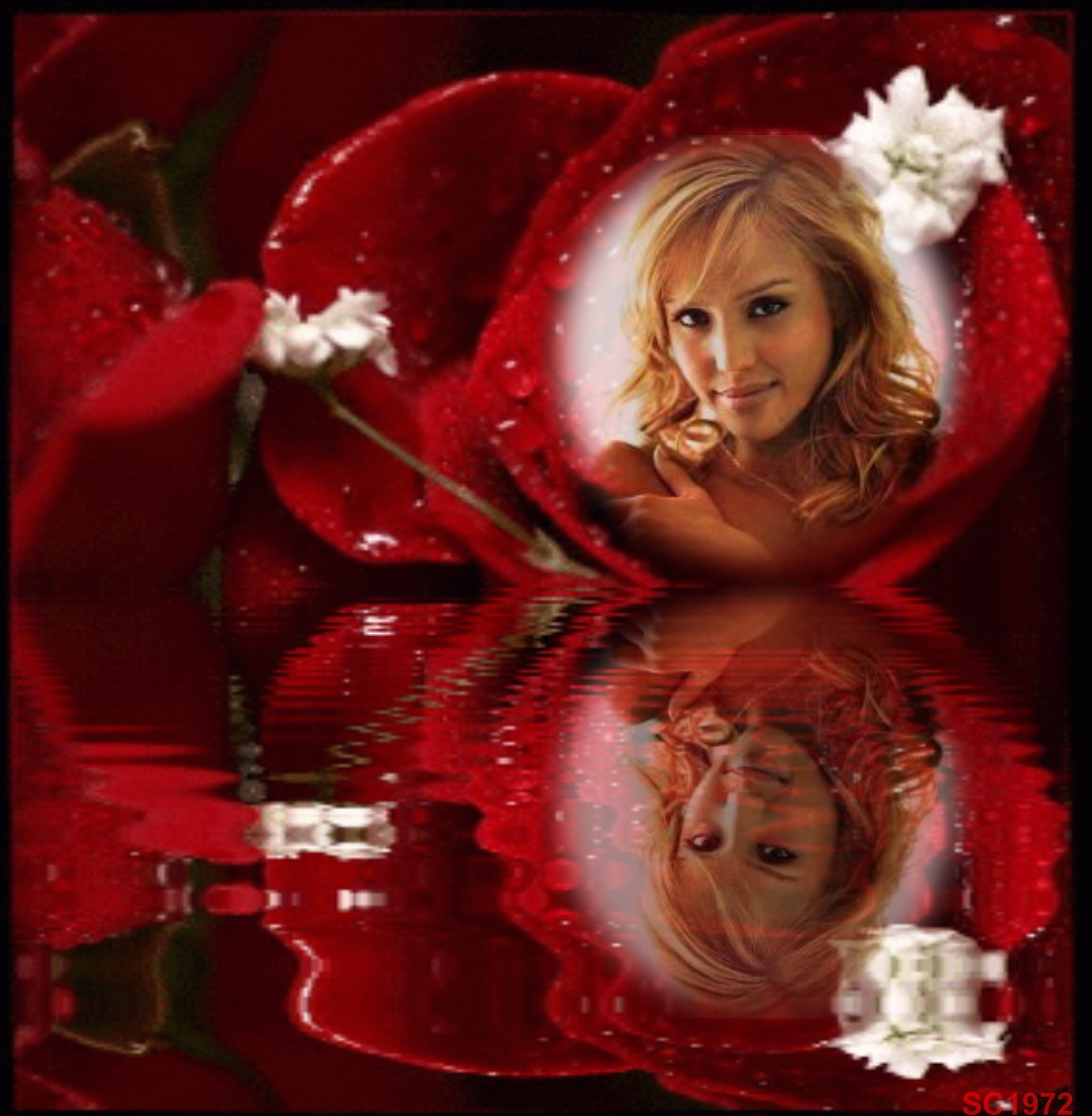 sweetcuban1972's Imikimi Land Frames - 2008 October - red rose thank ...