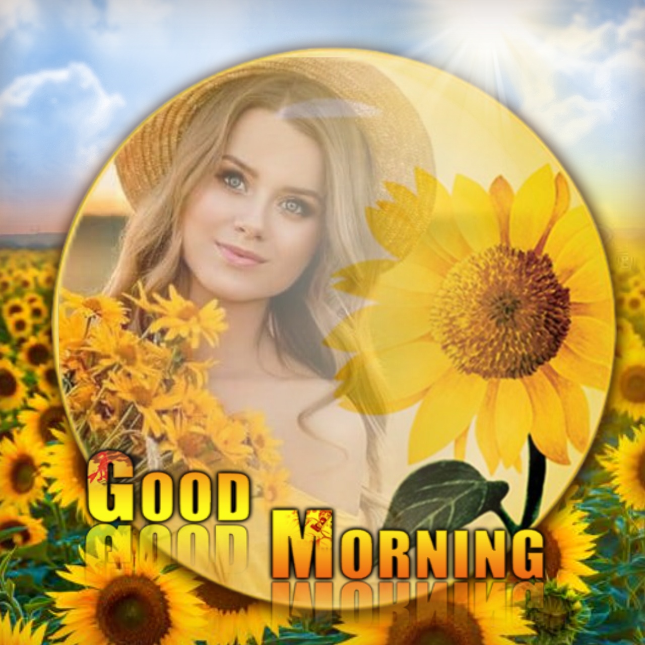 Adelaide's SUNFLOWERS - GIRASSOIS - GIRASOLES - Adelaide - Adelaide ...