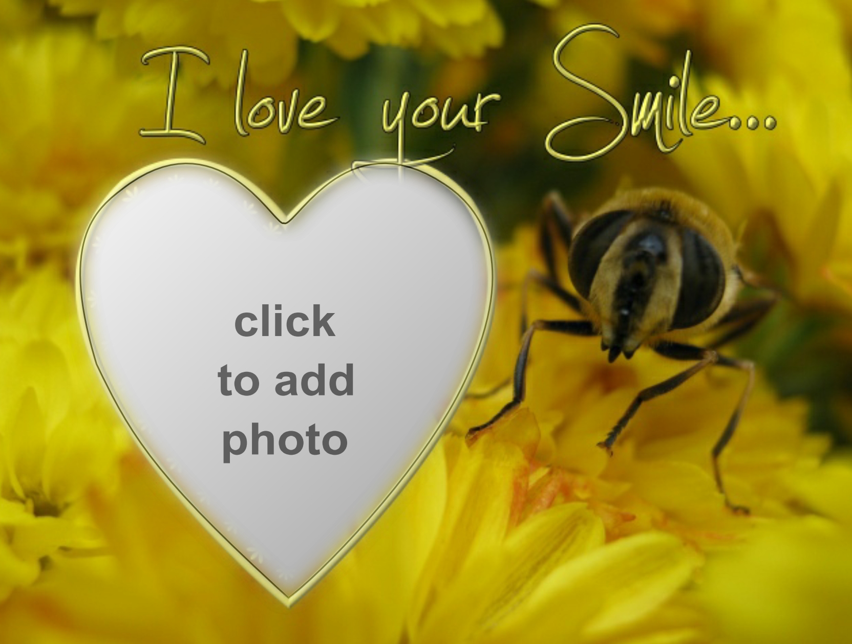 solaier's Picture Frames - 2009 October - Frame, Smile,Yellow Solaier ...