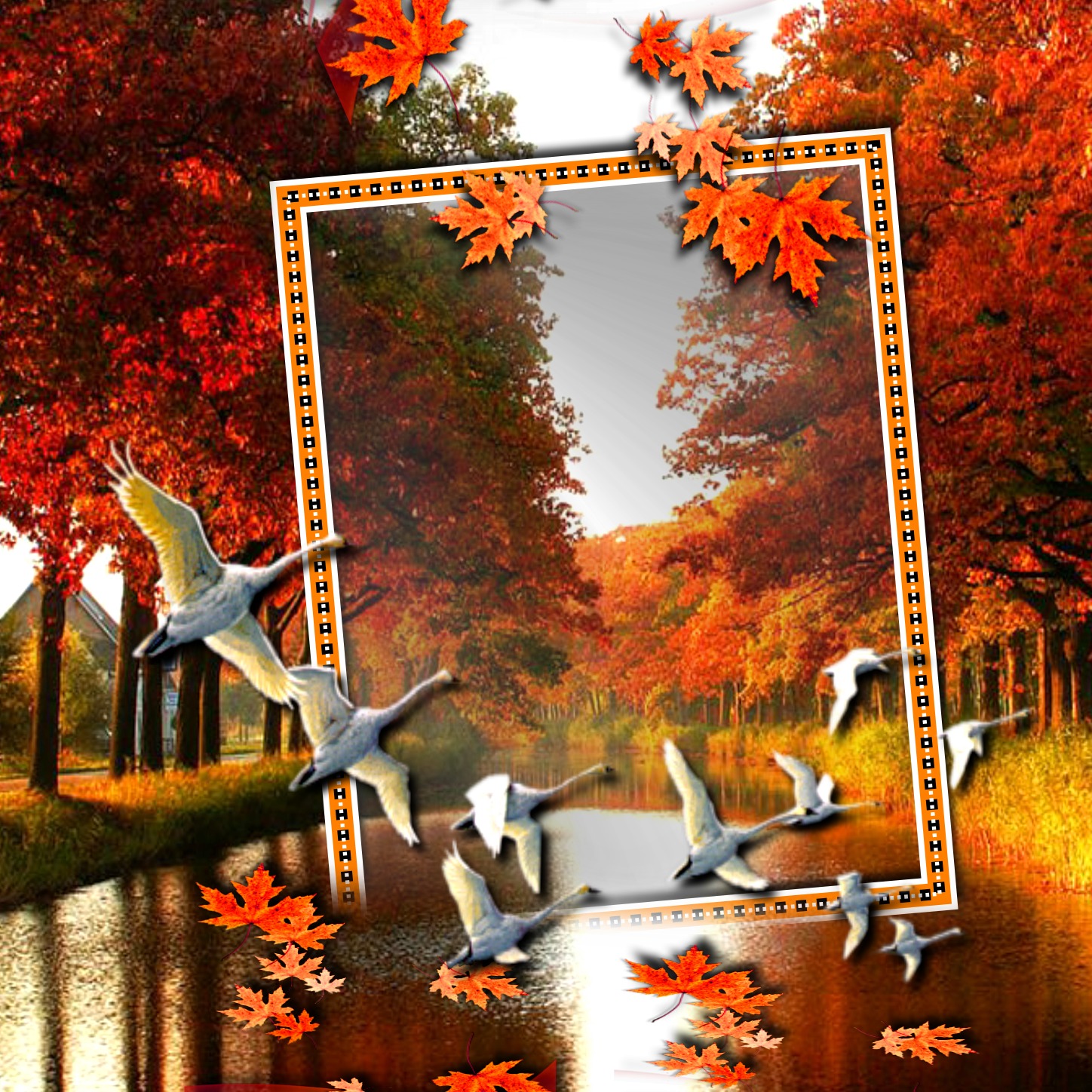lissy's GoodMorning 🌞 GoodNight - 2015 September - 2015 October ...