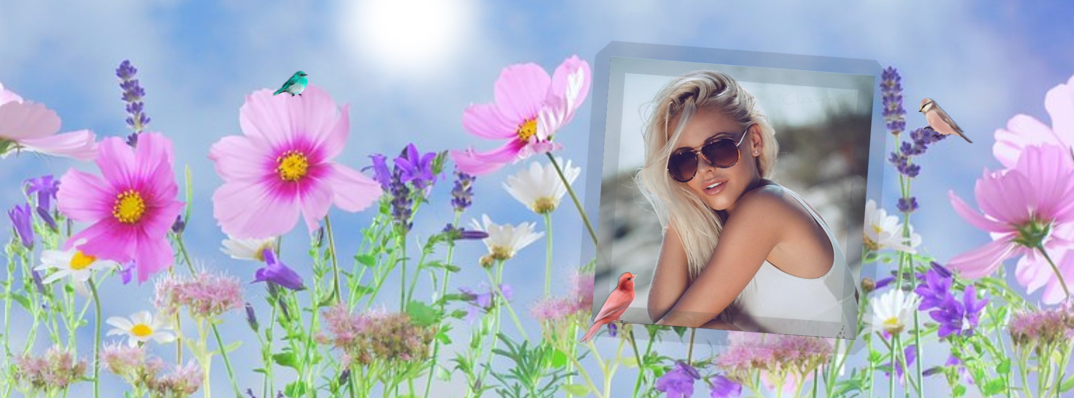 Elizabeth's FACEBOOK PROFILE COVER 🟦 - Facebook Profile Cover Social ...