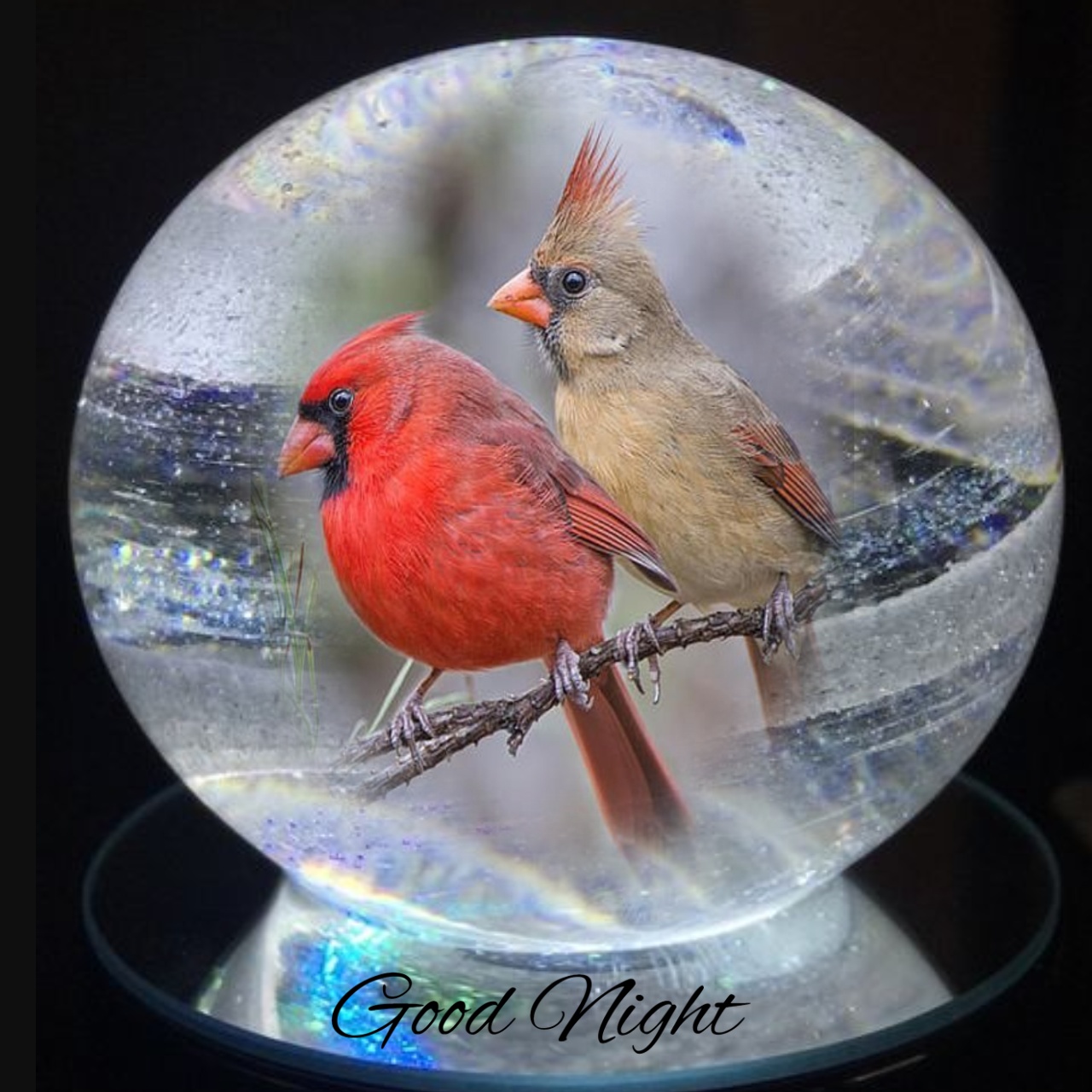 Mmhartley2's Everything Stream - Good NightCardinals - Good NightCardinals