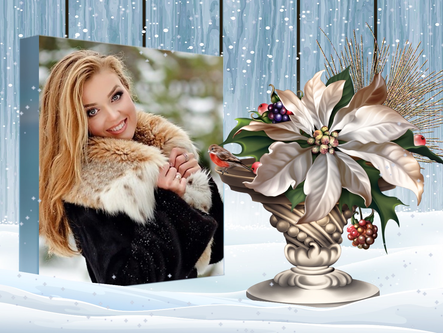 Elizabeth's WINTER ️ 2/2 - Winter Snow Poinsettia - Winter Snow ...