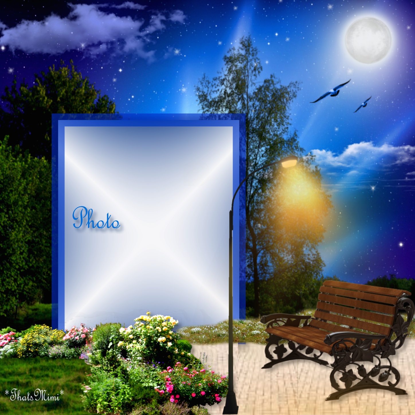 ThatsMimi's I Love You Frames - 2013 February - ~*~ Under Moonlight ...