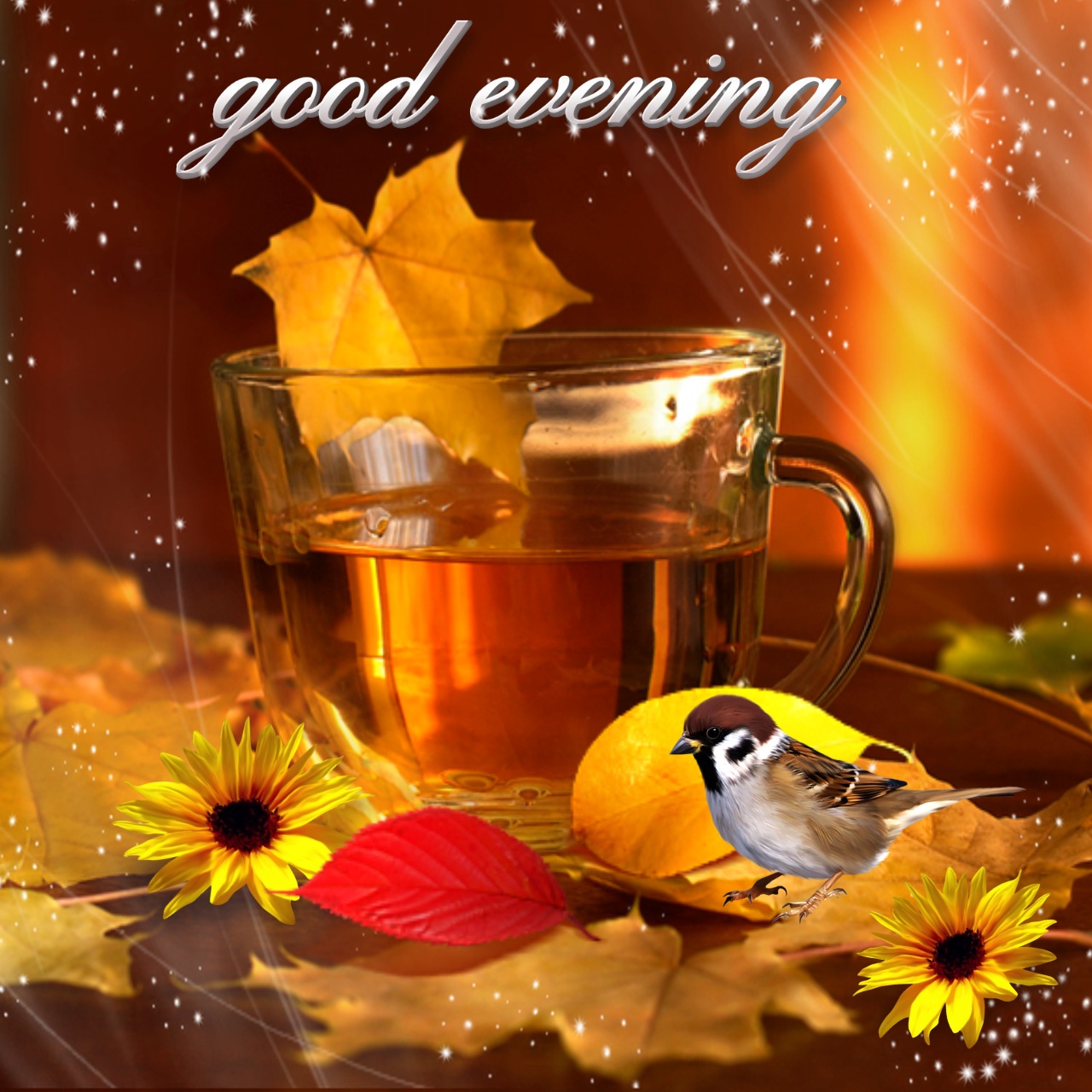 lissy's GoodMorning 🌞 GoodNight - Good Morning Good Eveninglissy005 ...