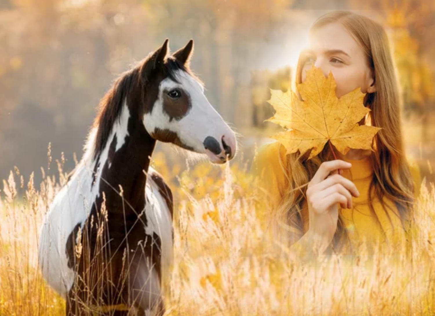 Nette's Wildlife,Animals, Pets, WoodlandAnimals - Wildlife ...