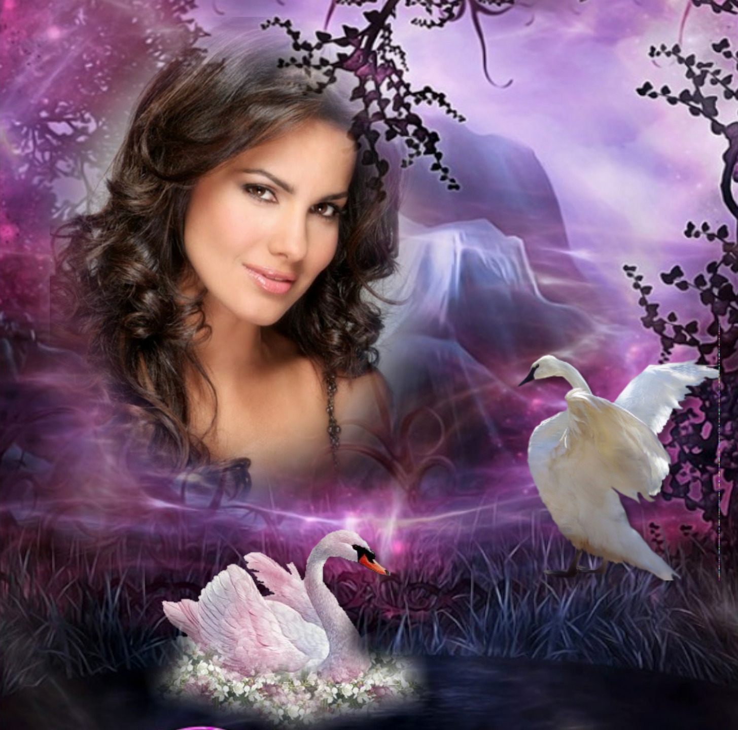 lissy's GoodMorning 🌞 GoodNight - Pictures - lissy-- frame Lissy005 ...