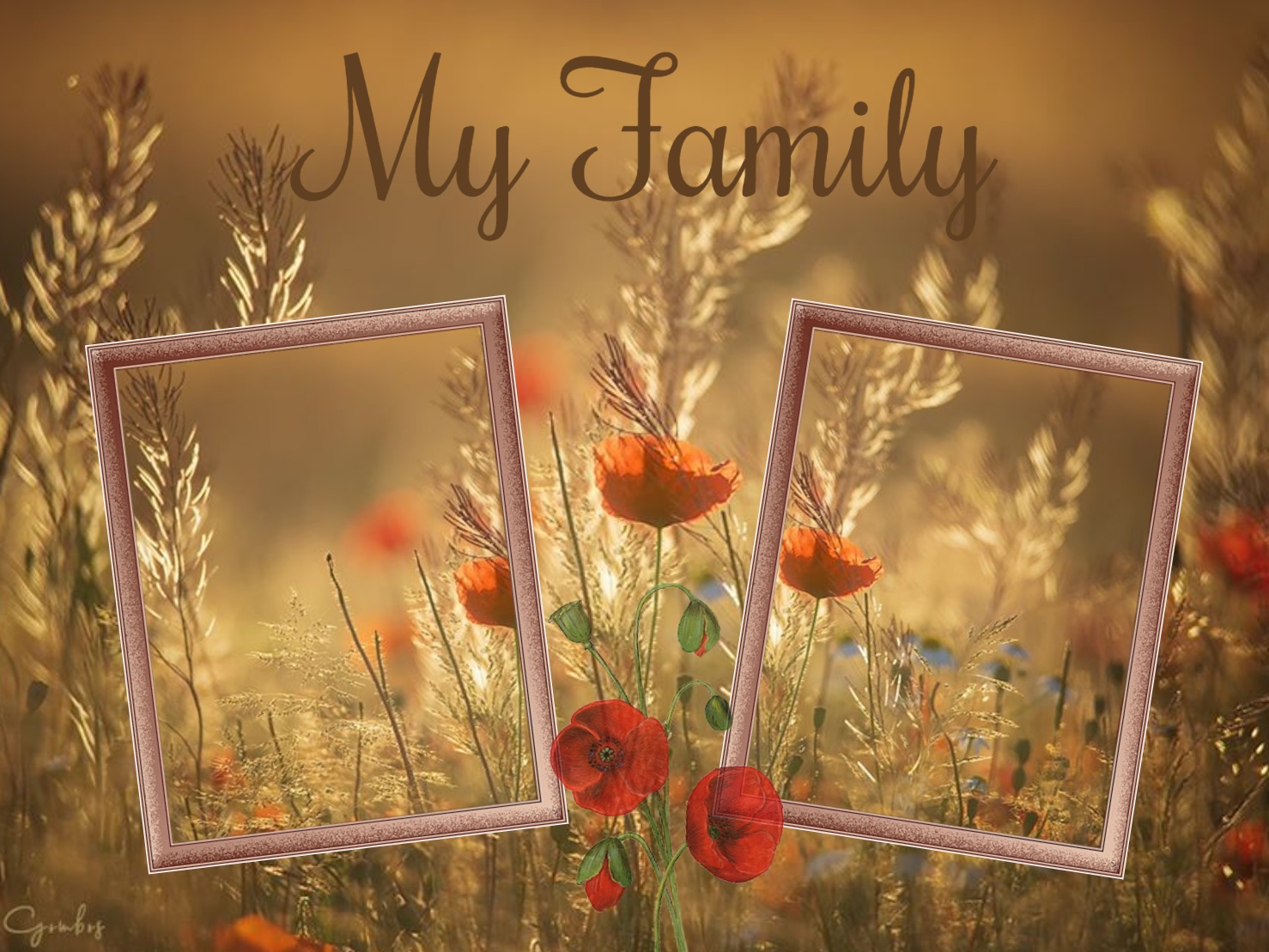 Emily50's Family Frames - My Family Picture Frame ...