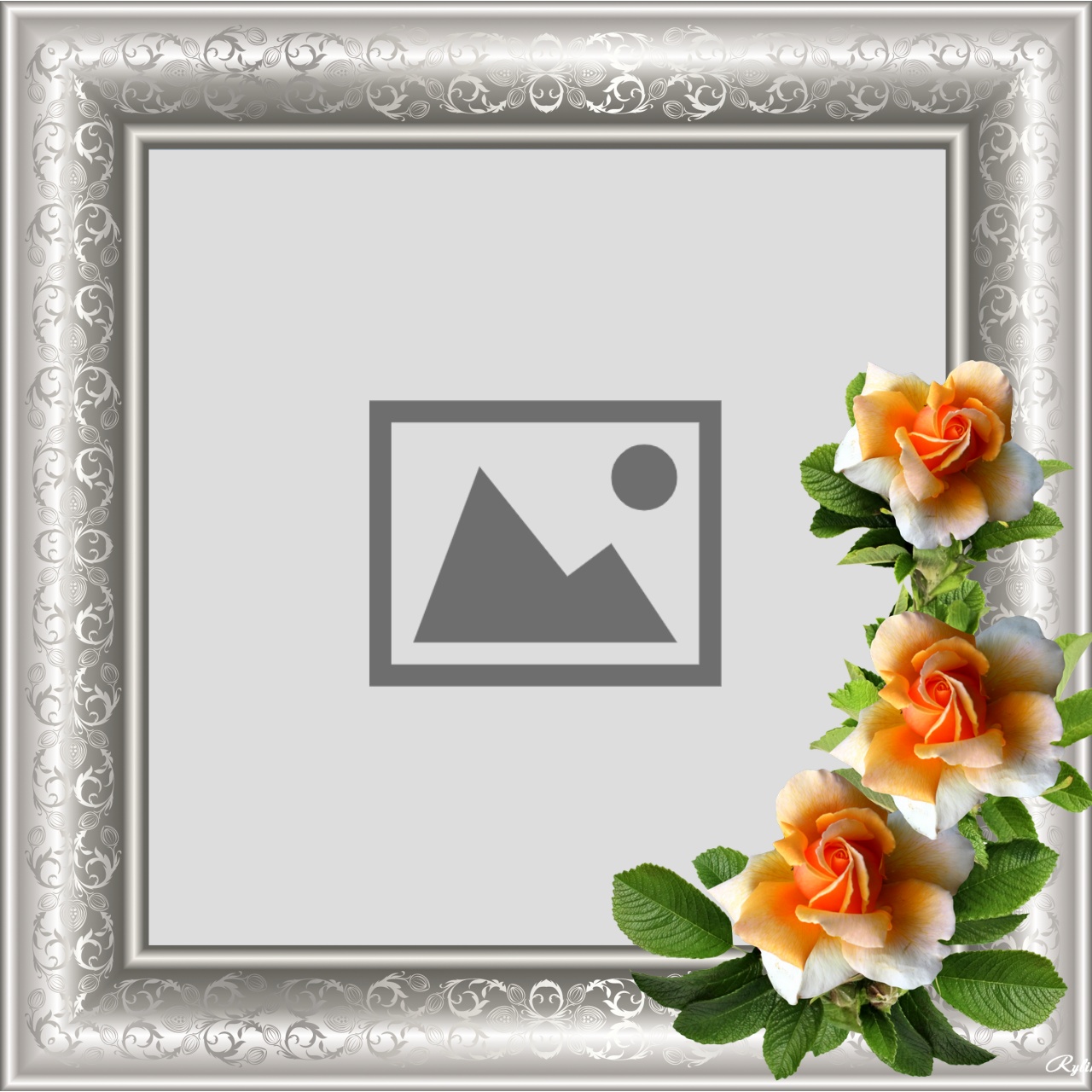 Jennifer Wilson's Roses - roses white Roses - Silver Frame and Orange ...