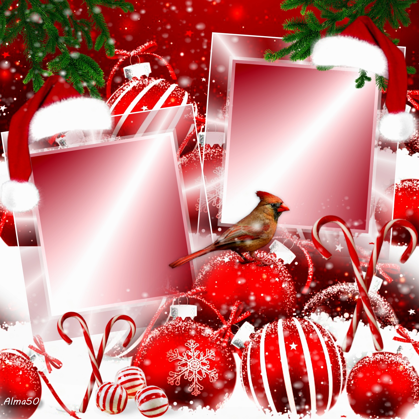 alma50's Christma Frames - 2013 December - Family christmas pictures ...