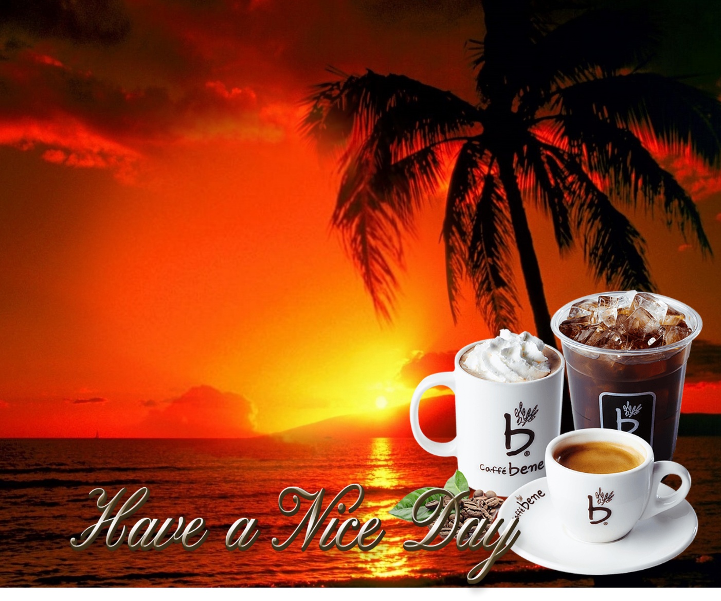 lissy's GoodMorning 🌞 GoodNight - goodmorning lissy doodday ...