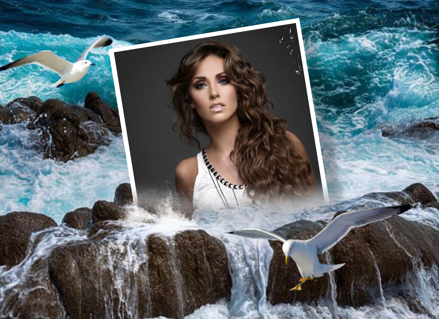 Elizabeth's BEACH & OCEAN 🌎 ⛱ - Ocean Nature Ocean View - Ocean Nature ...