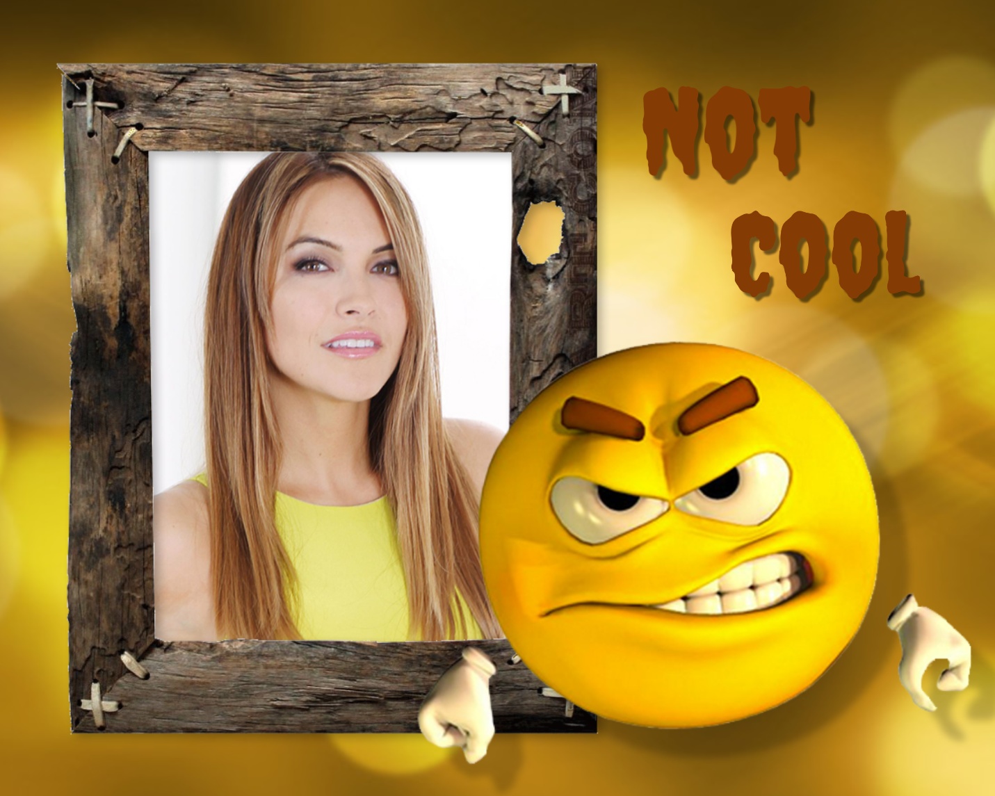 Jezebel64's Fun Frames - Smiley Fun Frame Jezebel64 Portrait Emoji ...