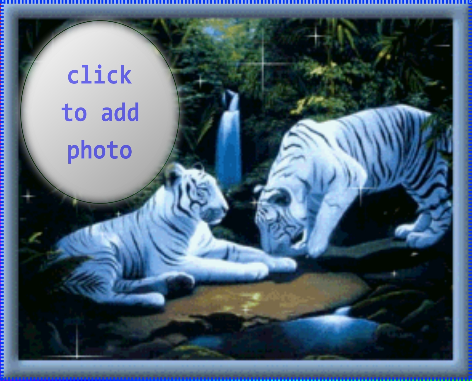 norafg62's Picture Frames - 2010 September - White Tiger Scene Norafg62 ...