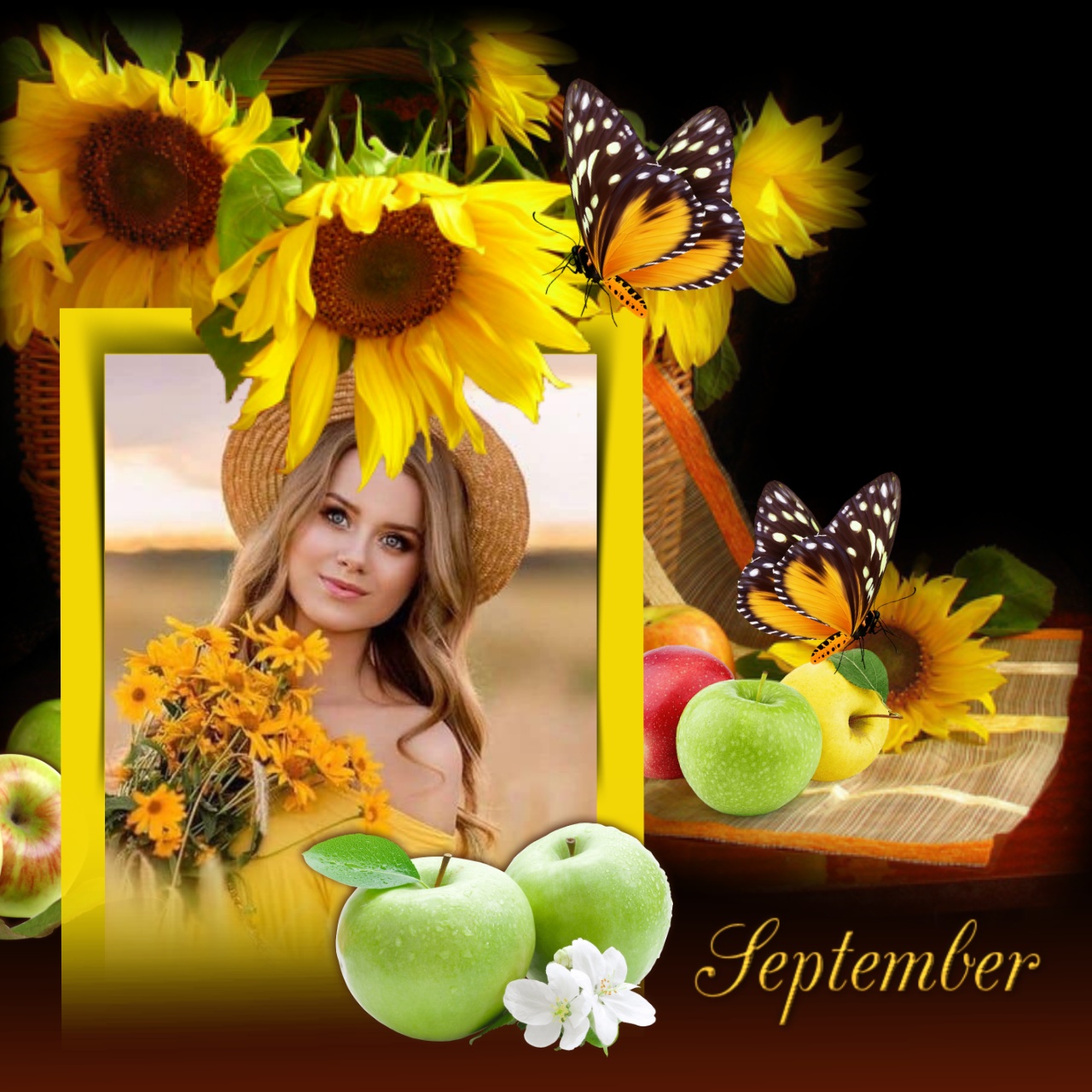 Adelaide's Fall Frames / Autumn / Outono - Adelaide - Adelaide ...