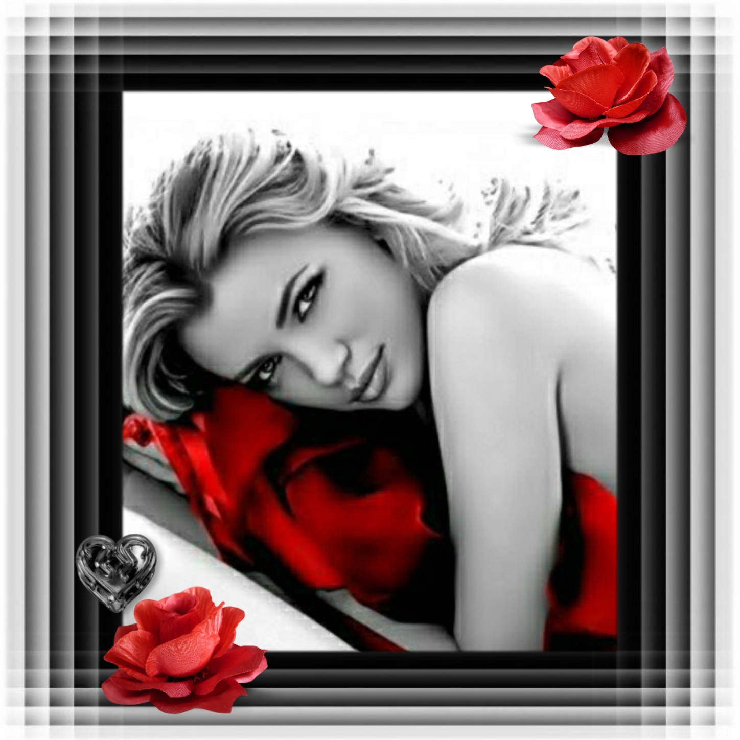 Elizabeth's LOVE/ROMANCE 😍 1/2 - Red Rose Love Elizabeth - Red Rose ...