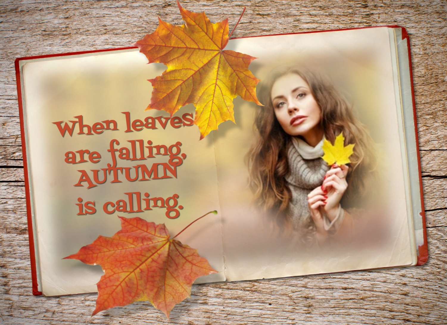 Jezebel64's Fall ~ Autumn 🎃 - Autumn Fall Autumn Leaves Book Jezebel64 ...