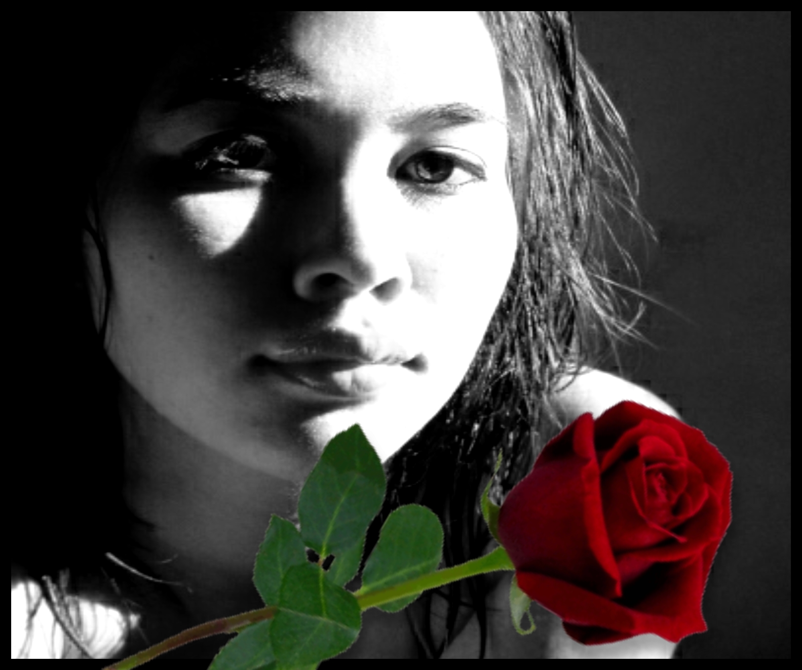 ZingerBug's Picture Frames - 2009 April - Simple Rose Zinger Bug ...