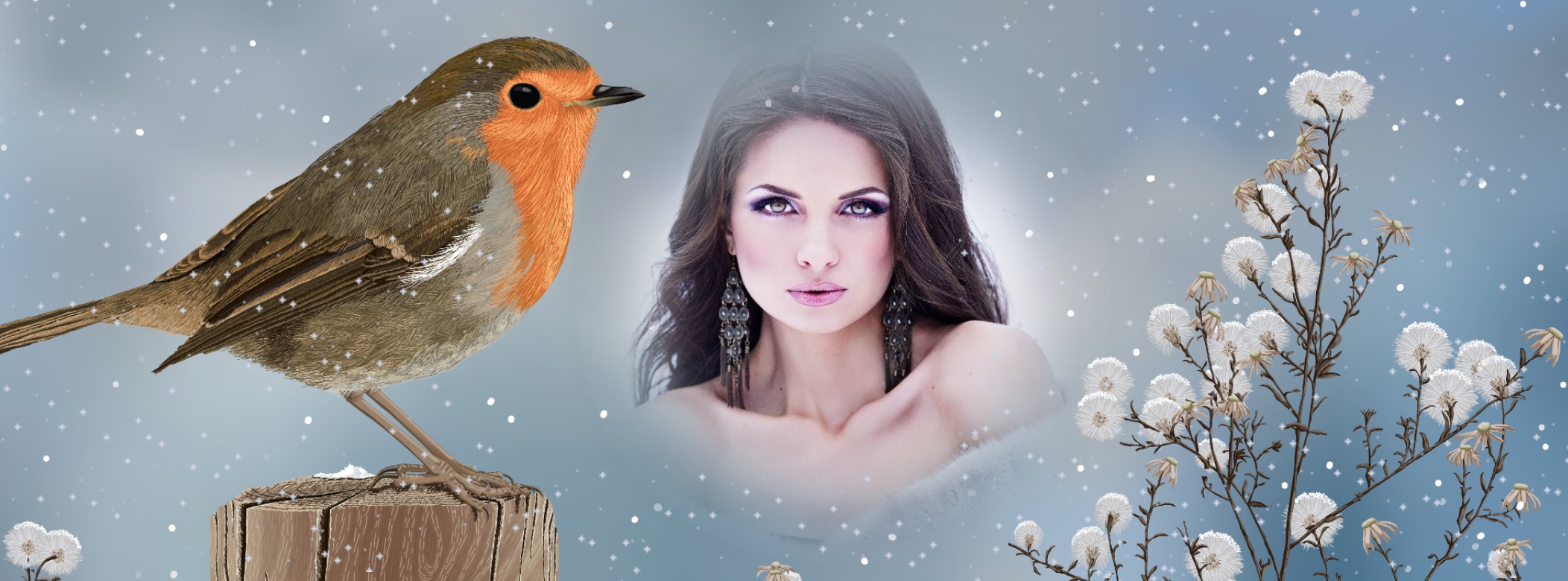 Elizabeth's FACEBOOK PROFILE COVER 🟦 - Facebook Profile Cover Social ...