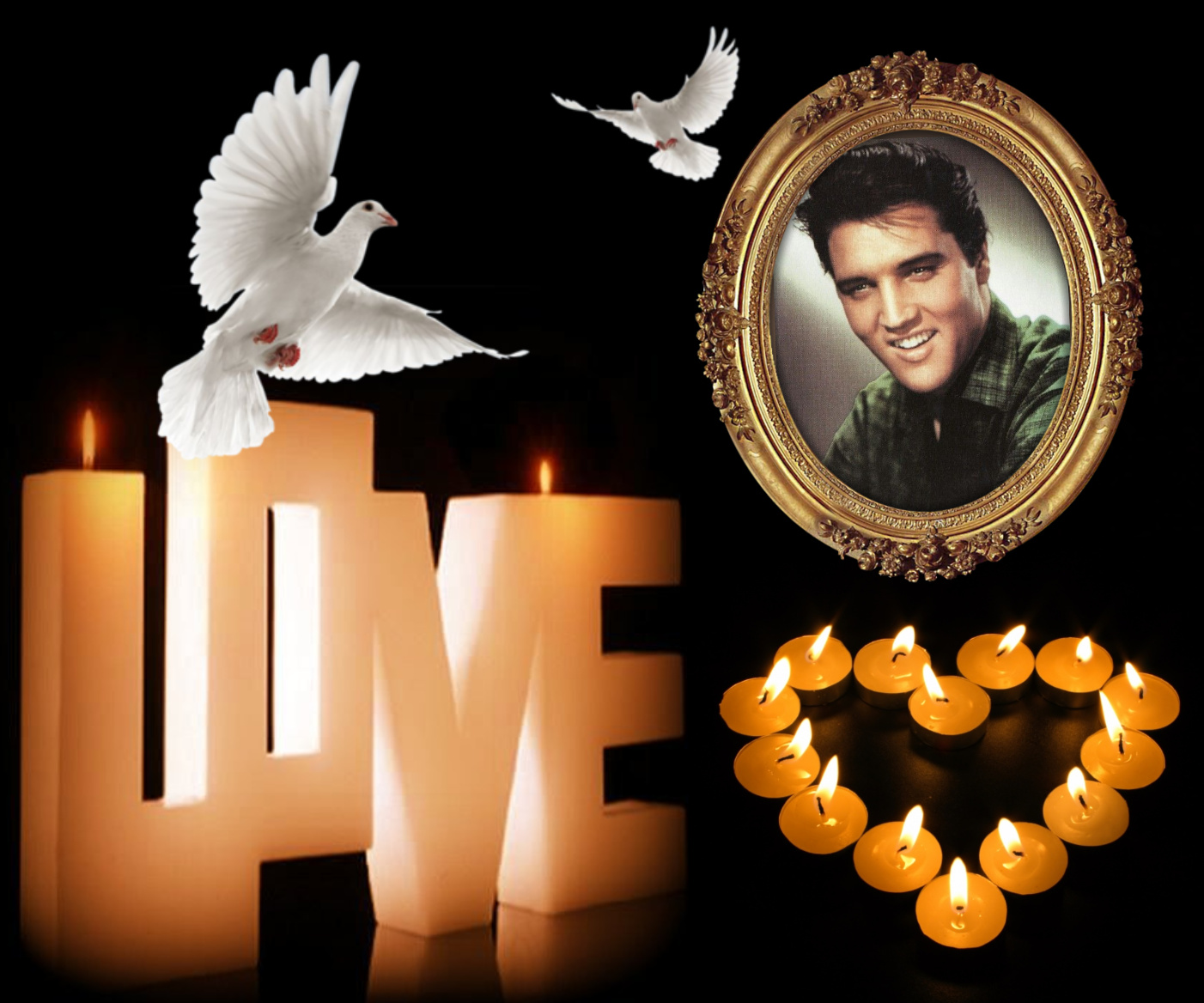 pussycatlady22's In Memory Of... Frames - 2018 February - In Loving ...