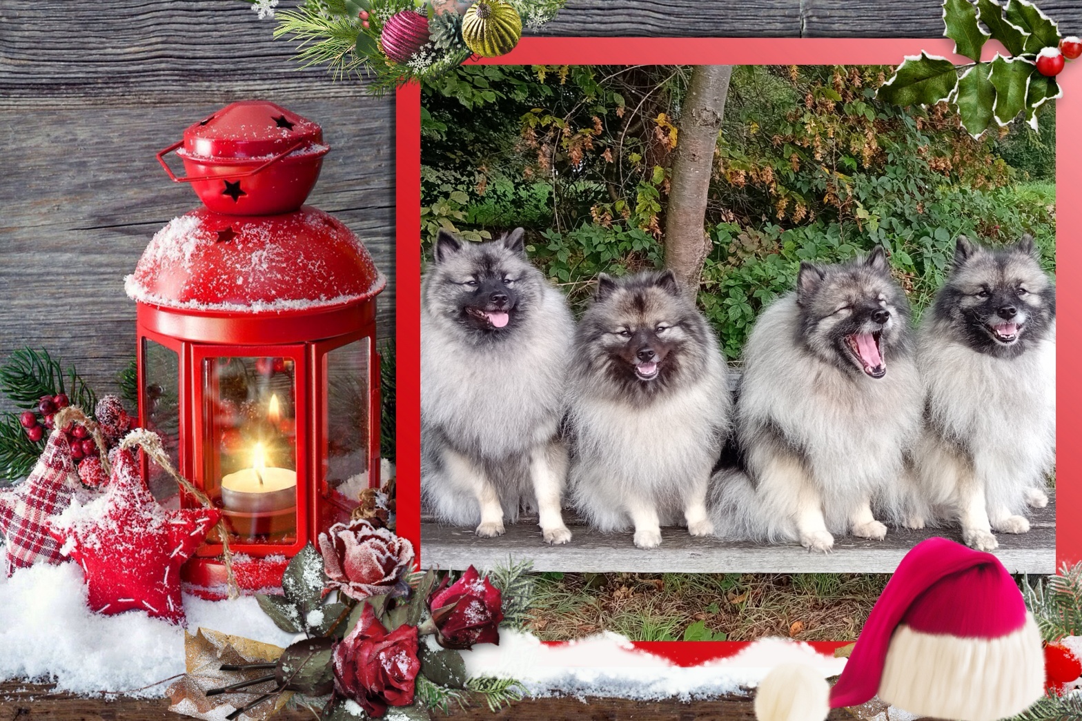 Stephanie Schneider's First Stream - Stephanie Schneider's First Stream