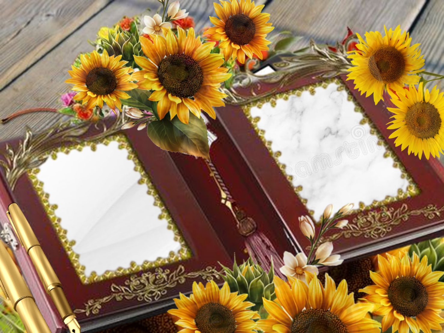 Emily50's Photo Albums - Photo Album Colorful SunflowerMePhoto ...