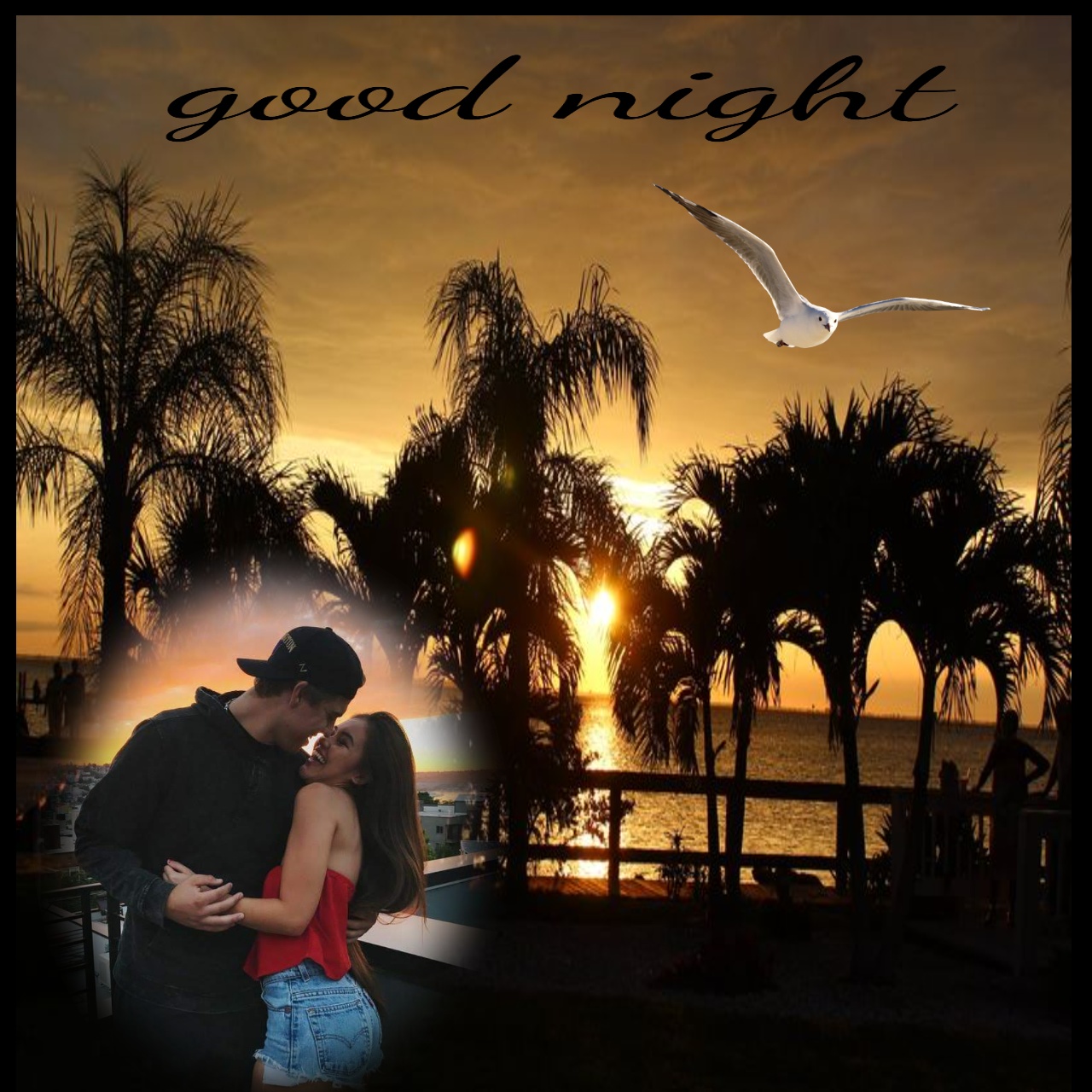 Mmhartley2's Everything Stream - Good Night Sunset Beach - Good Night ...