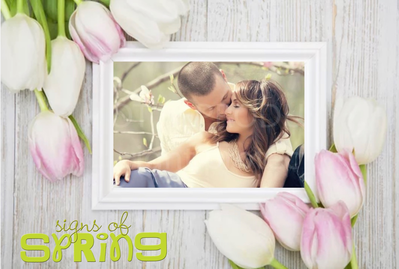 Nette's Spring Frames🌸🌼🌻💐 - Spring/Easter 2022 - Good Morning Spring ...