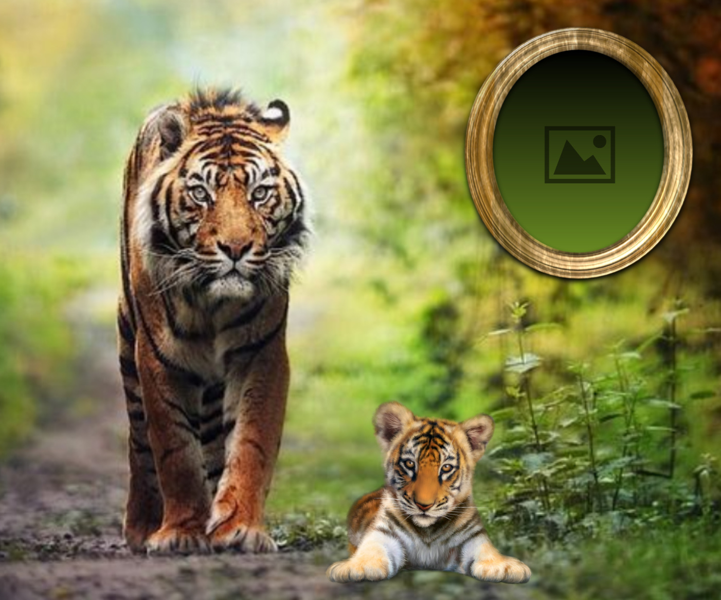 pussycatlady22's Wildlife Frames - Wildlife Frames Wildlife Tigers ...