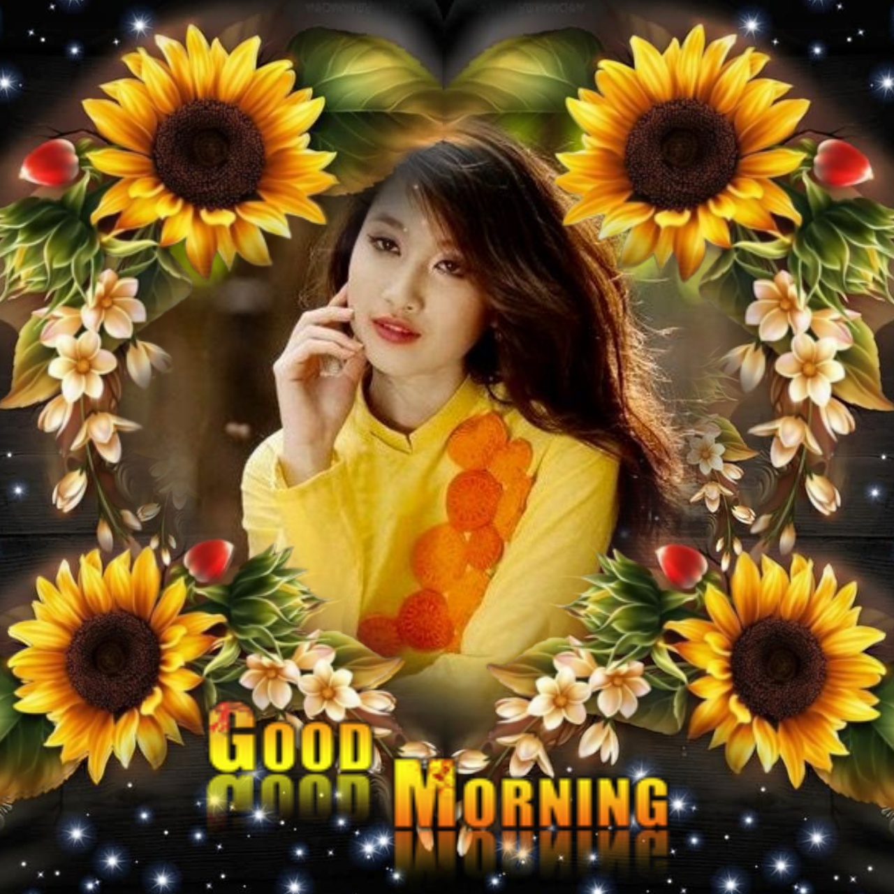 Adelaide's SUNFLOWERS - GIRASSOIS - GIRASOLES - Adelaide - Adelaide ...