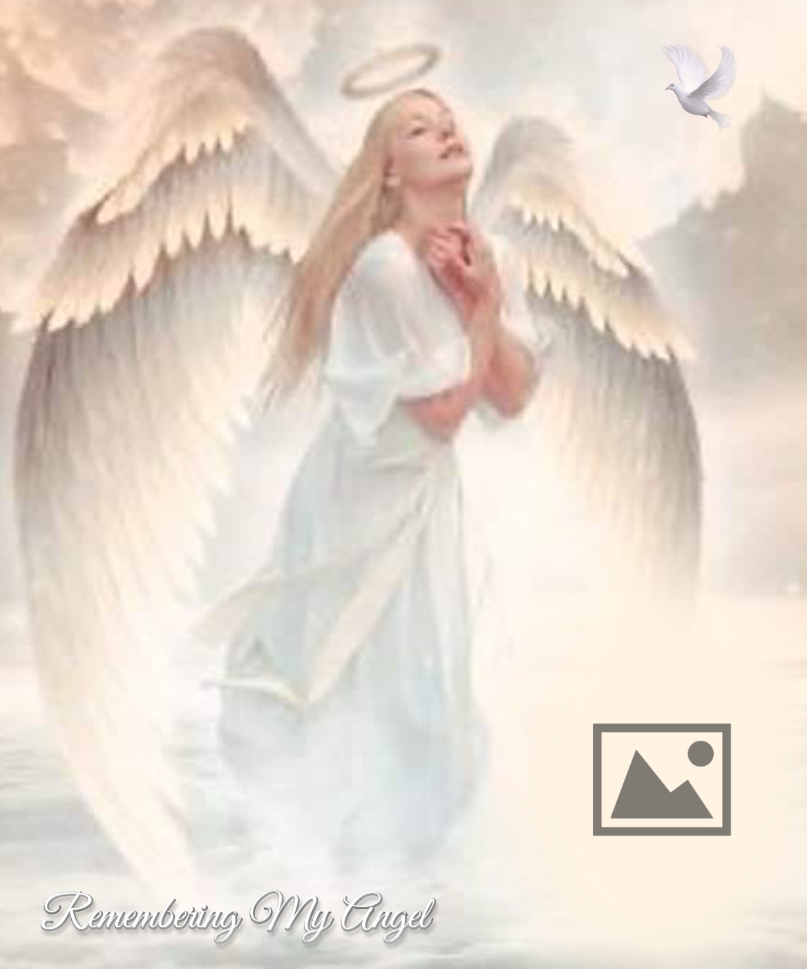Elaine's ANGELS 2022 - Angels 2022 - Elaine's ANGELS 2022 - Angels 2022